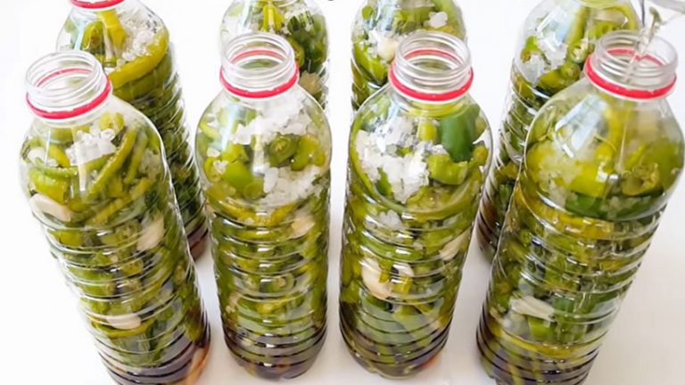 Sapsarı Susuz Su Şişesinde Efsane Turşu Tarifi » İlk Hobi
